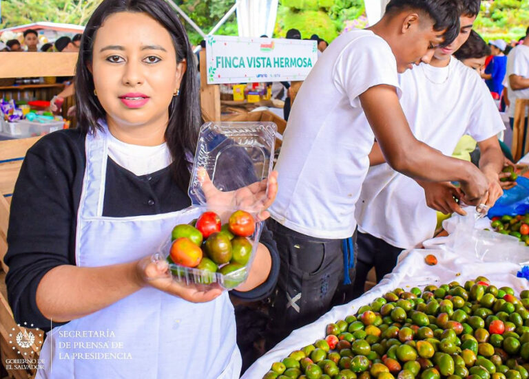 2025 Jocote Corona Fair: Food, Culture & Views at Cerro Verde National ...