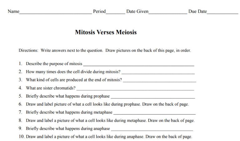 10 Mitosis Worksheet Questions and the Smartest Ways to Answer Them